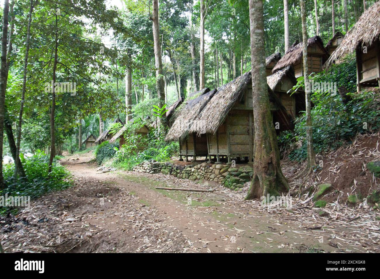 Desa Kanekes, Lebak, Banten, Indonesia - 21 December 2008: visiting ...