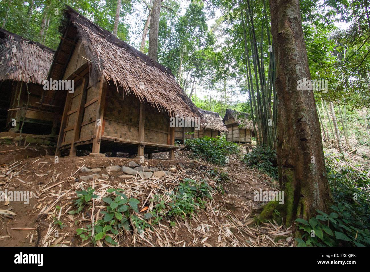 Desa Kanekes, Lebak, Banten, Indonesia - 21 December 2008: visiting ...
