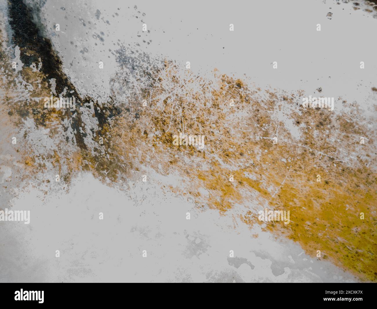 Black mold on bathroom enamel. Pathogenic Bacteria. Concept of mold in ...