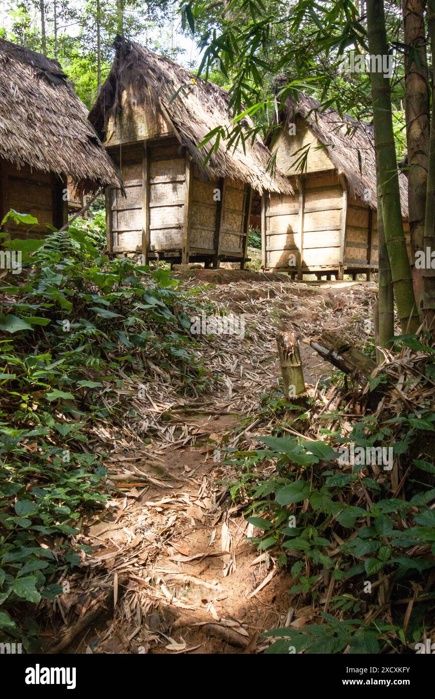 Desa Kanekes, Lebak, Banten, Indonesia - 21 December 2008: visiting ...
