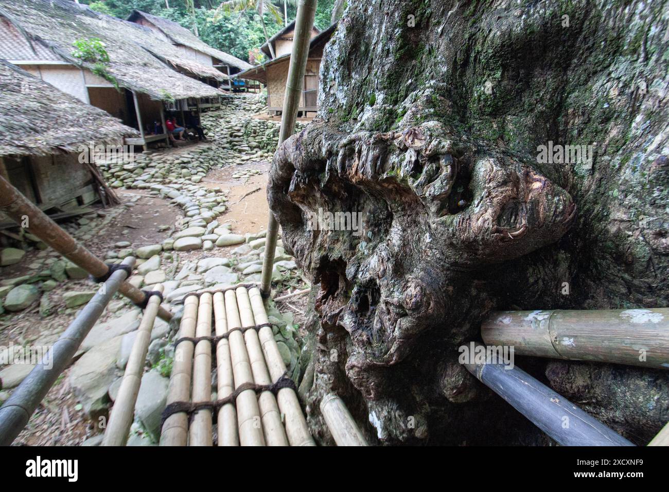 Desa Kanekes, Lebak, Banten, Indonesia - 21 December 2008: visiting ...