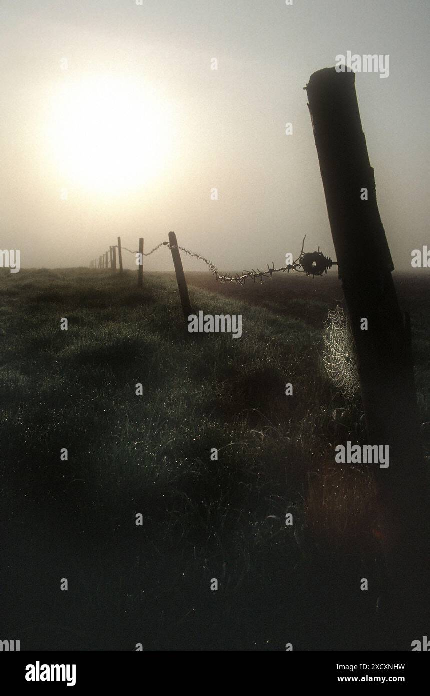 Rising sun over fence Stock Photo - Alamy