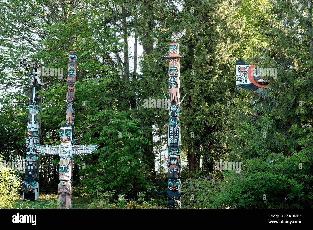 The colorful totem poles standing tall in Stanley Park, Vancouver Stock ...