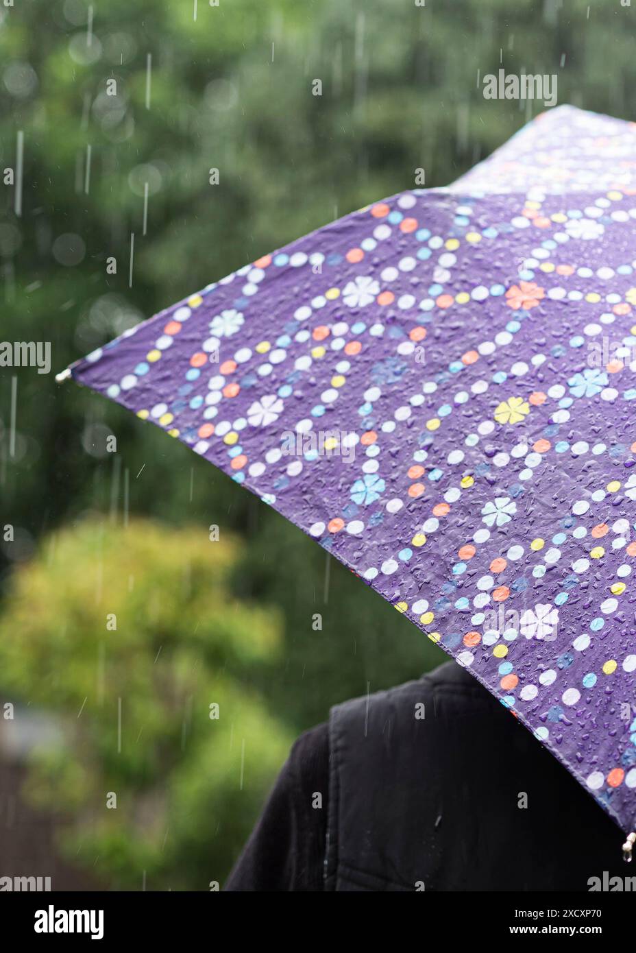 Person holding an umbrella in rain hi-res stock photography and images ...
