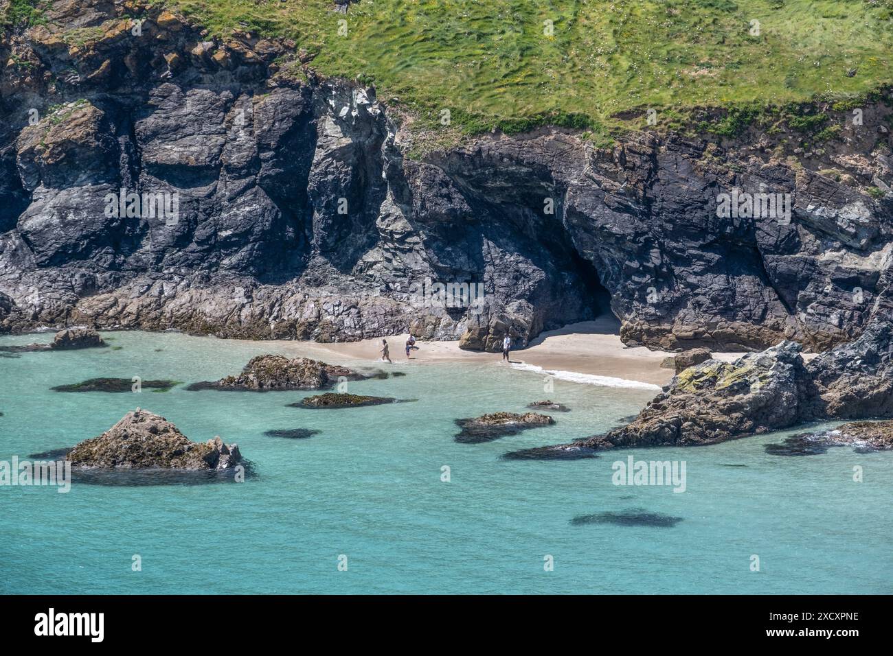 The hidden beaches at Kynance Cove at low tide, Cornwall, England Stock ...