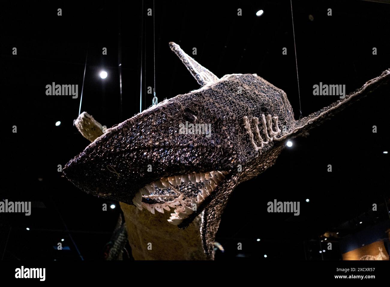 Shark in Gostnets art from North Australia, animal works made from ...