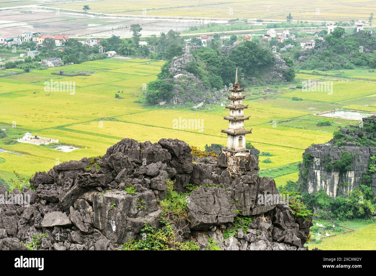 Awesome aerial view of natural karst towers among yellow rice fields at ...