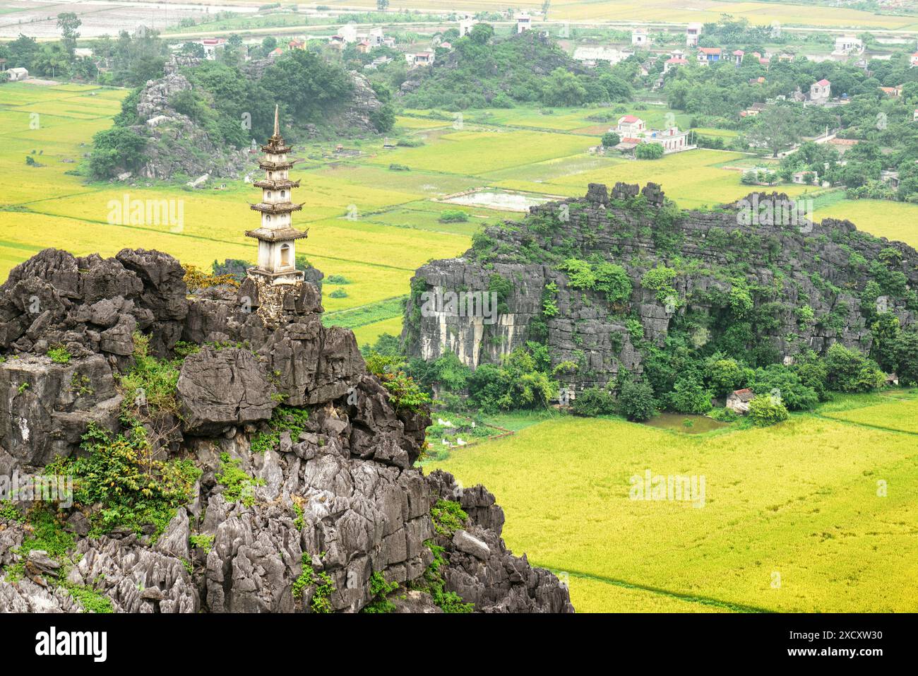 Awesome aerial view of natural karst towers among yellow rice fields at ...