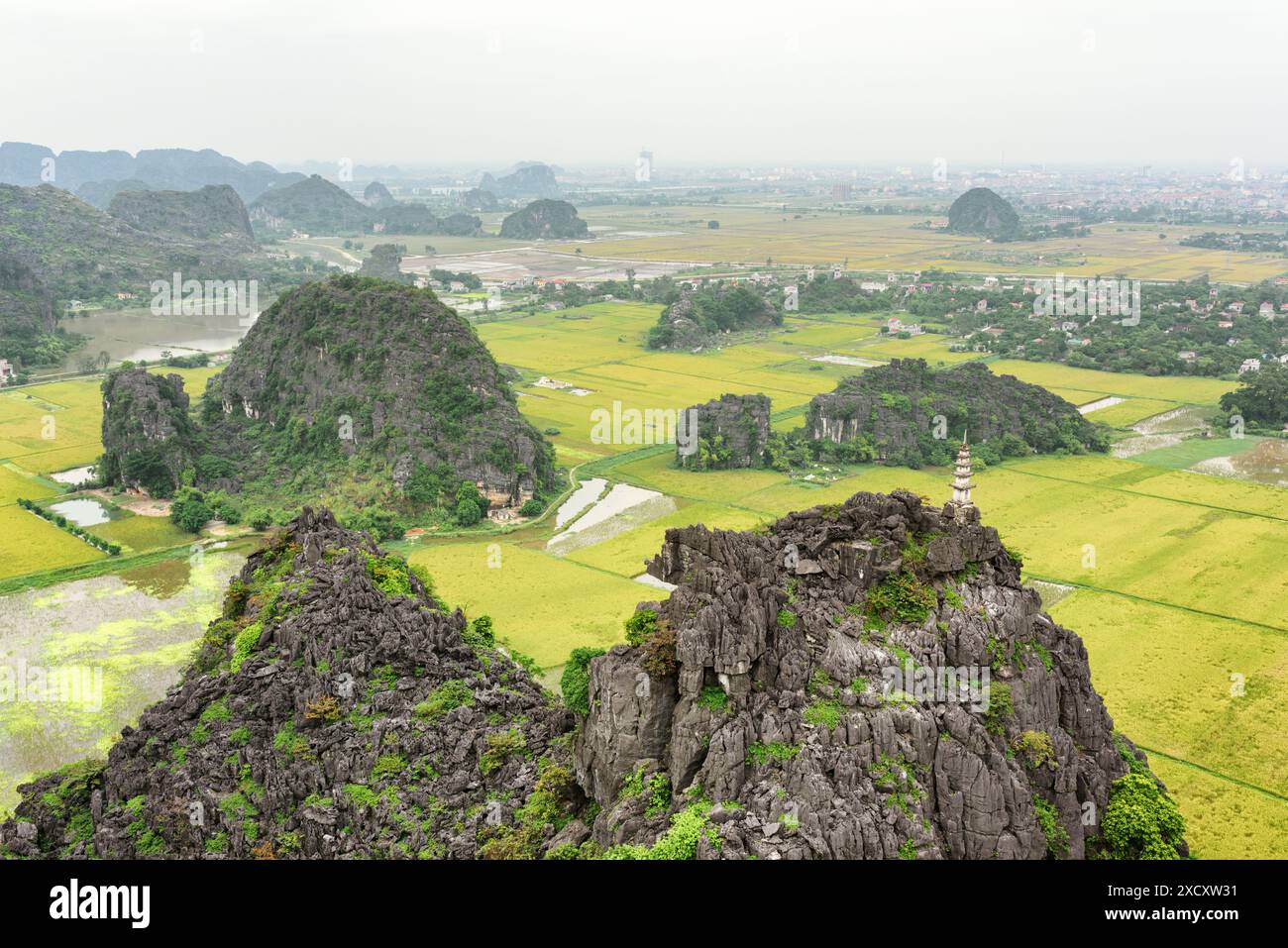 Awesome aerial view of natural karst towers among yellow rice fields at ...