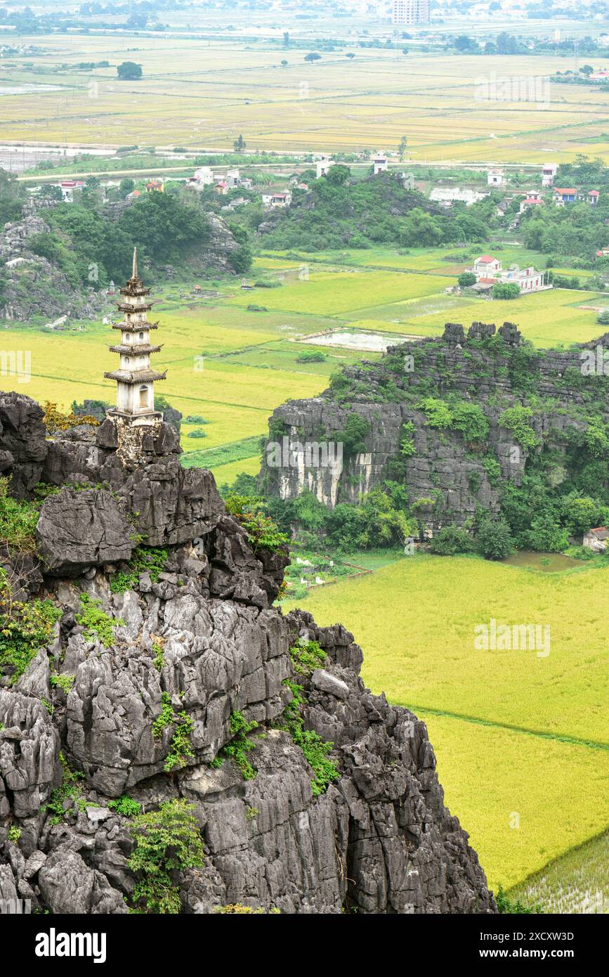 Awesome aerial view of natural karst towers among yellow rice fields at ...
