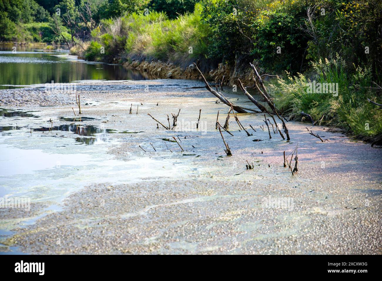 Panorama of the lake with the effects of minerals on water and ...