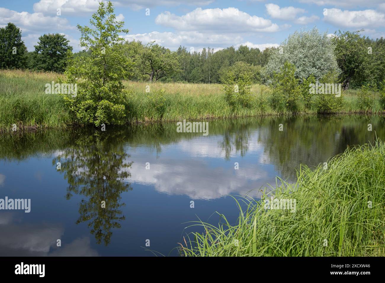 Midsummer place hi-res stock photography and images - Alamy
