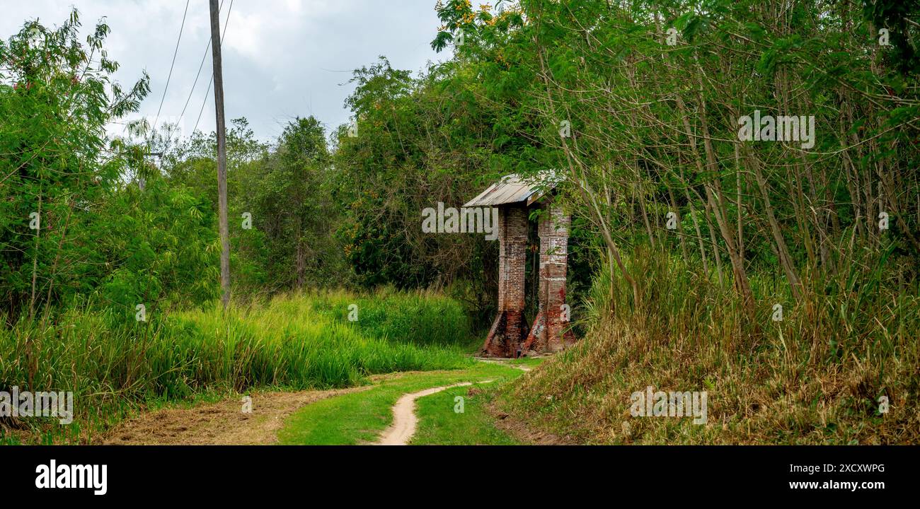 Weir in an irrigation channel of a former plantation in Suriname Stock ...