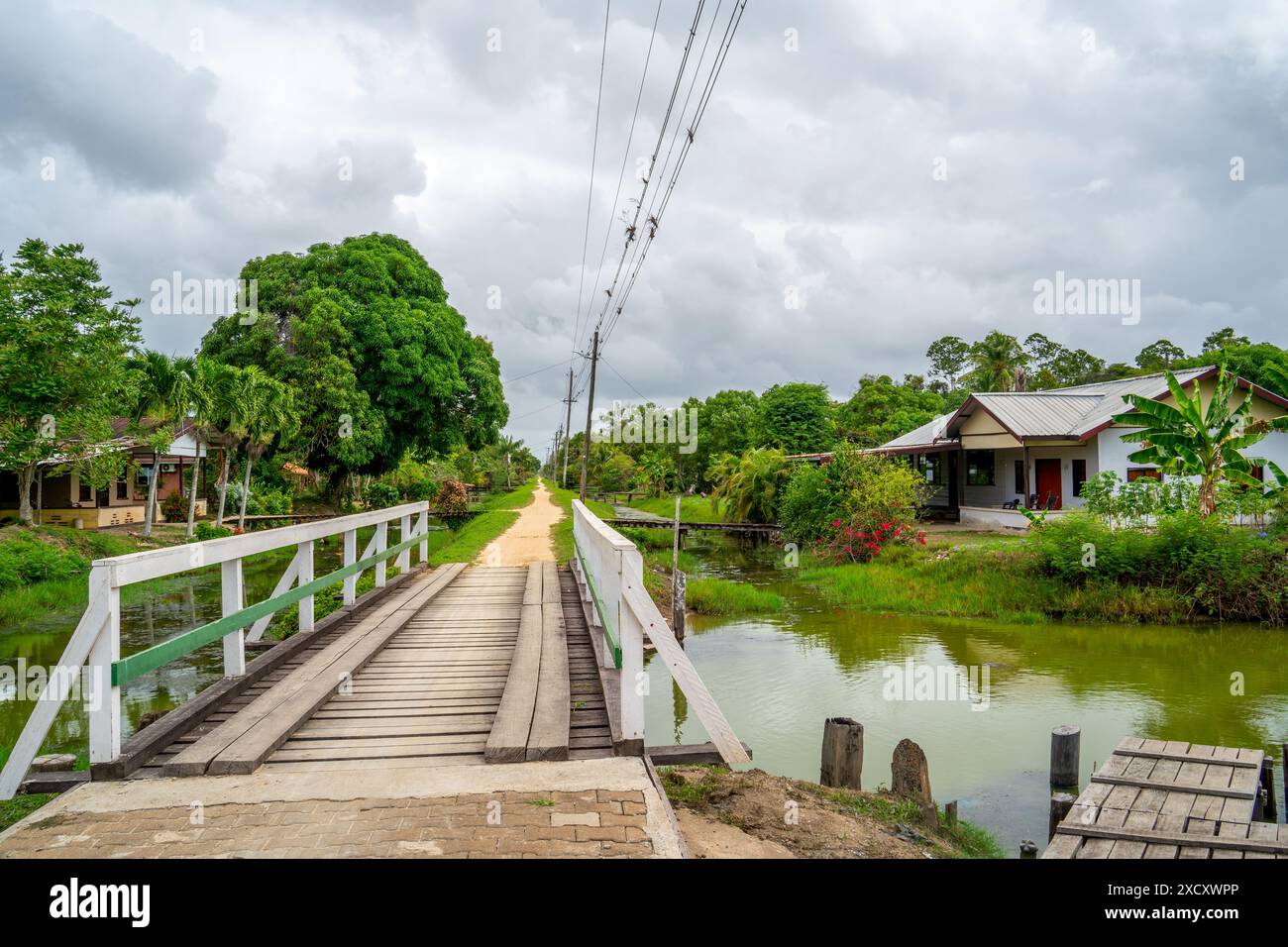 Landscape in a former plantation in Suriname Stock Photo - Alamy