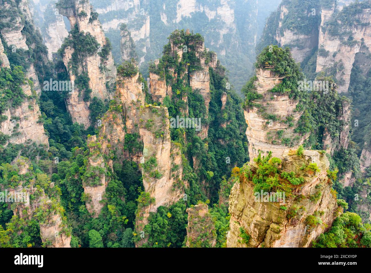 Awesome view of natural quartz sandstone pillars of the Tianzi ...
