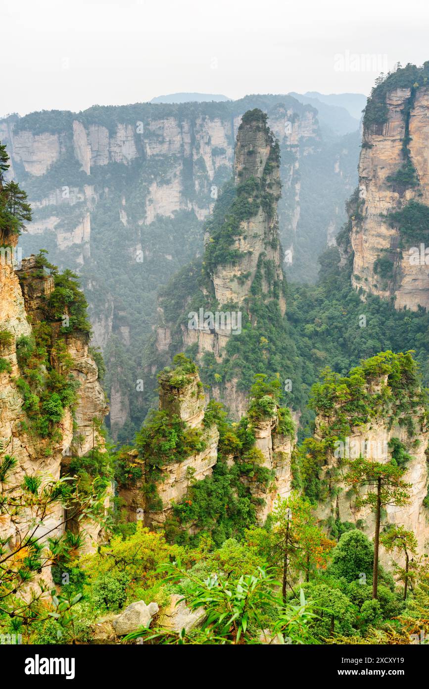Natural quartz sandstone pillars of the Tianzi Mountains (Avatar ...