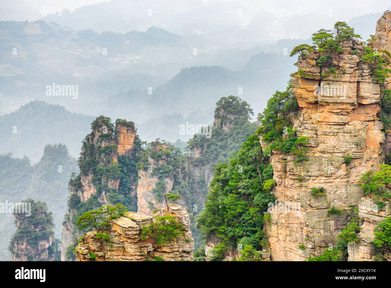 Natural quartz sandstone pillars of the Tianzi Mountains (Avatar ...