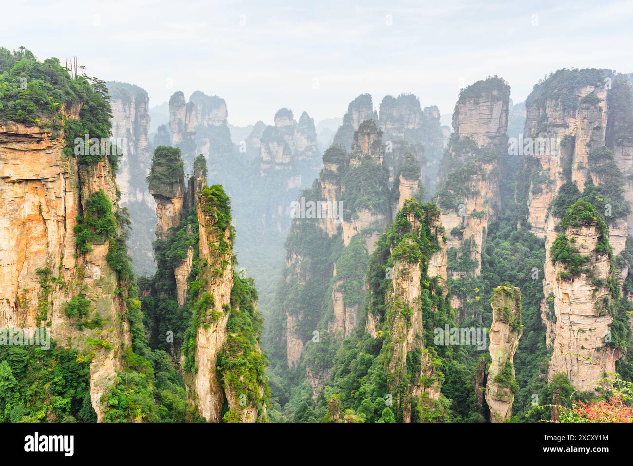 Natural quartz sandstone pillars of the Tianzi Mountains (Avatar ...
