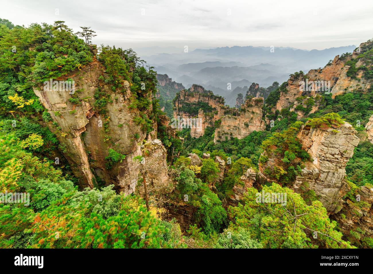 Natural quartz sandstone pillars of the Tianzi Mountains (Avatar ...