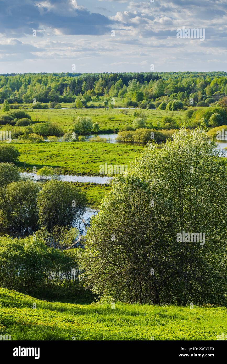 Rural Russian landscape, vertical photo with Sorot river coasts on a ...