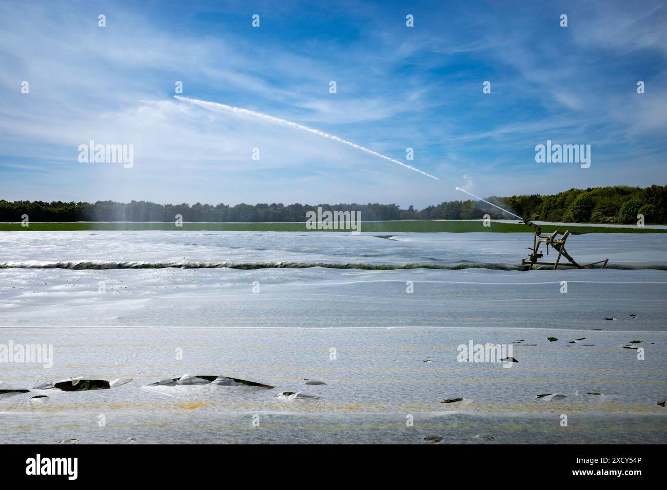 irrigation system Farnham Suffolk UK Stock Photo - Alamy