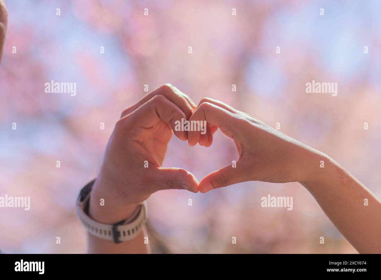 Couples display heart shaped symbols together to show their love and ...