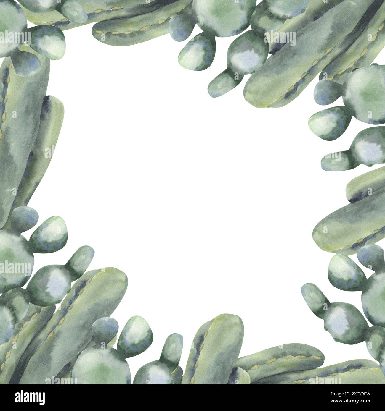 Green cactus home plant watercolor square frame. Hand drawn banner for ...