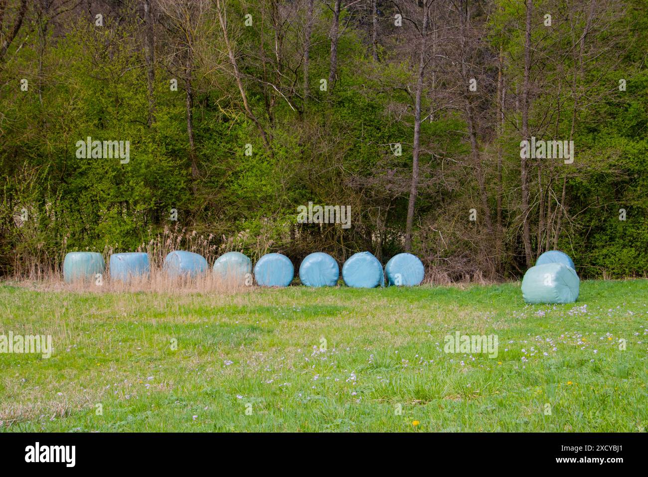 Hay packed in plastic hi-res stock photography and images - Alamy
