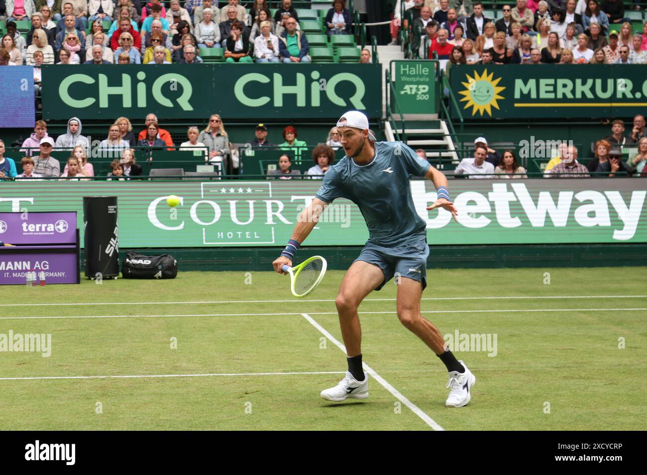 Halle, Germany. 19th June, 2024. Tennis: ATP Tour, Singles, 1st round, Darderi (Italy) - Struff ...