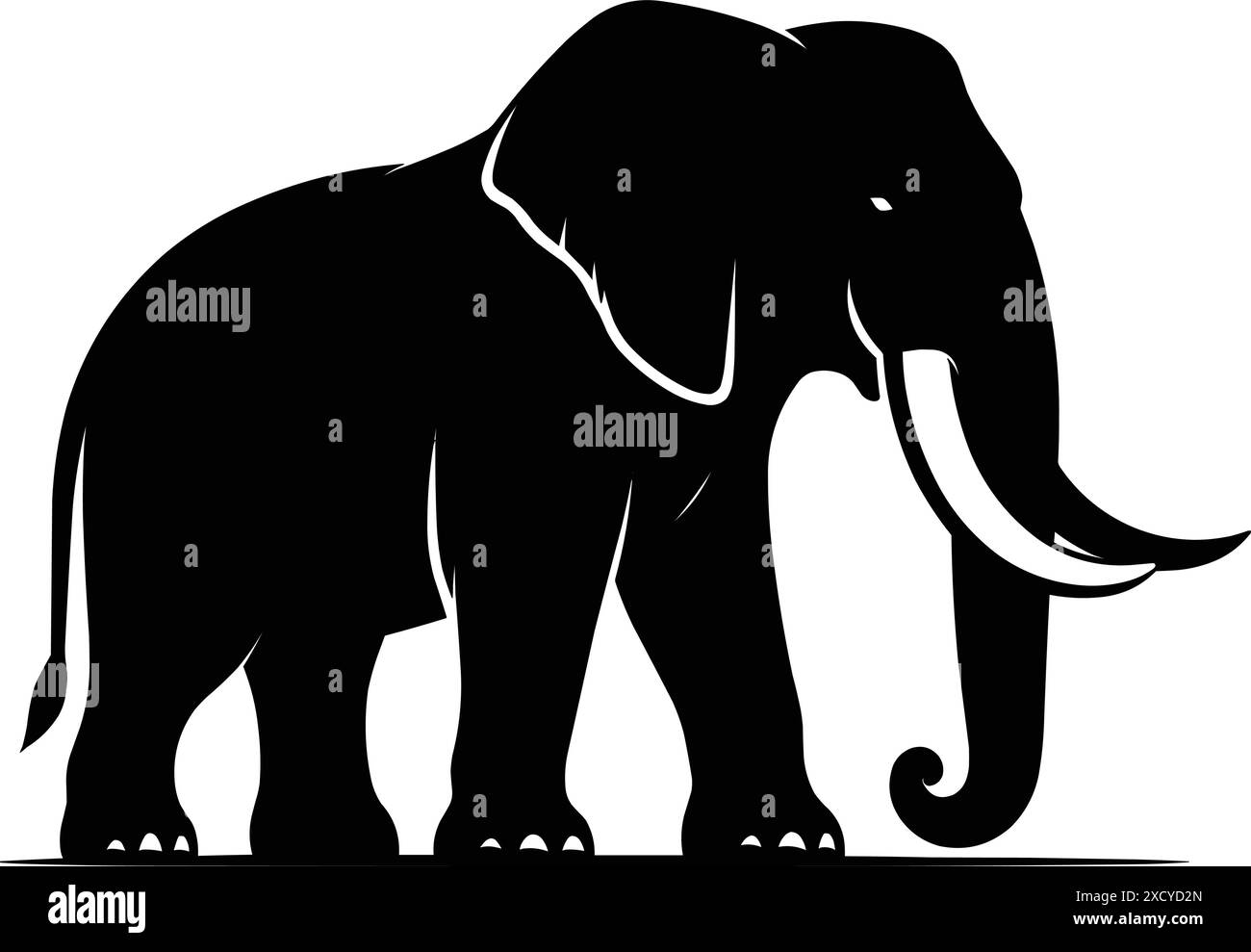 Sketch to vector illustrator hi-res stock photography and images - Alamy