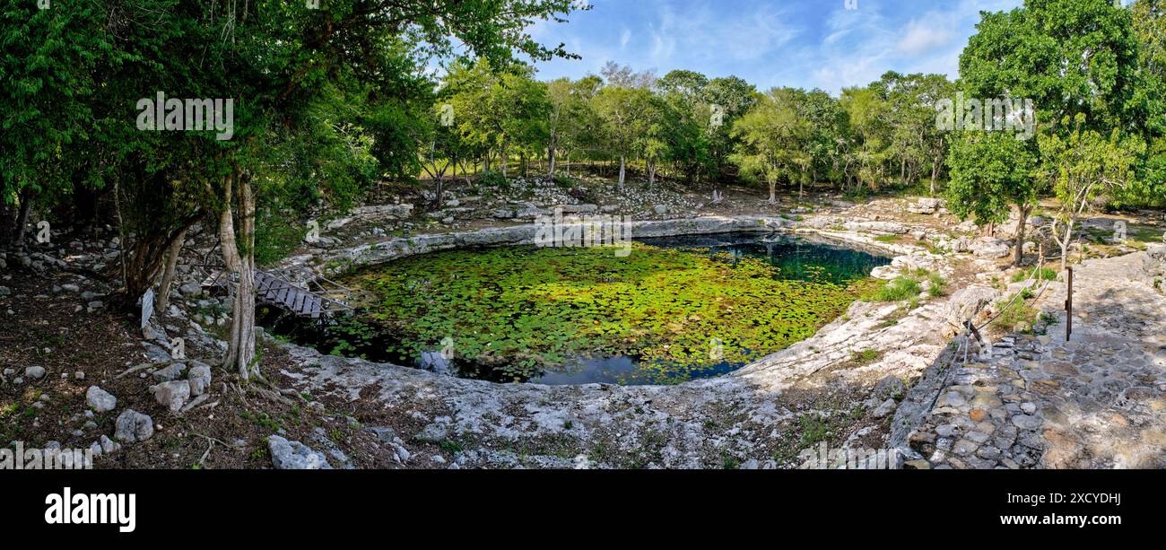 Pond in Dzibilchaltun, Yucatan, Mexico Stock Photo - Alamy