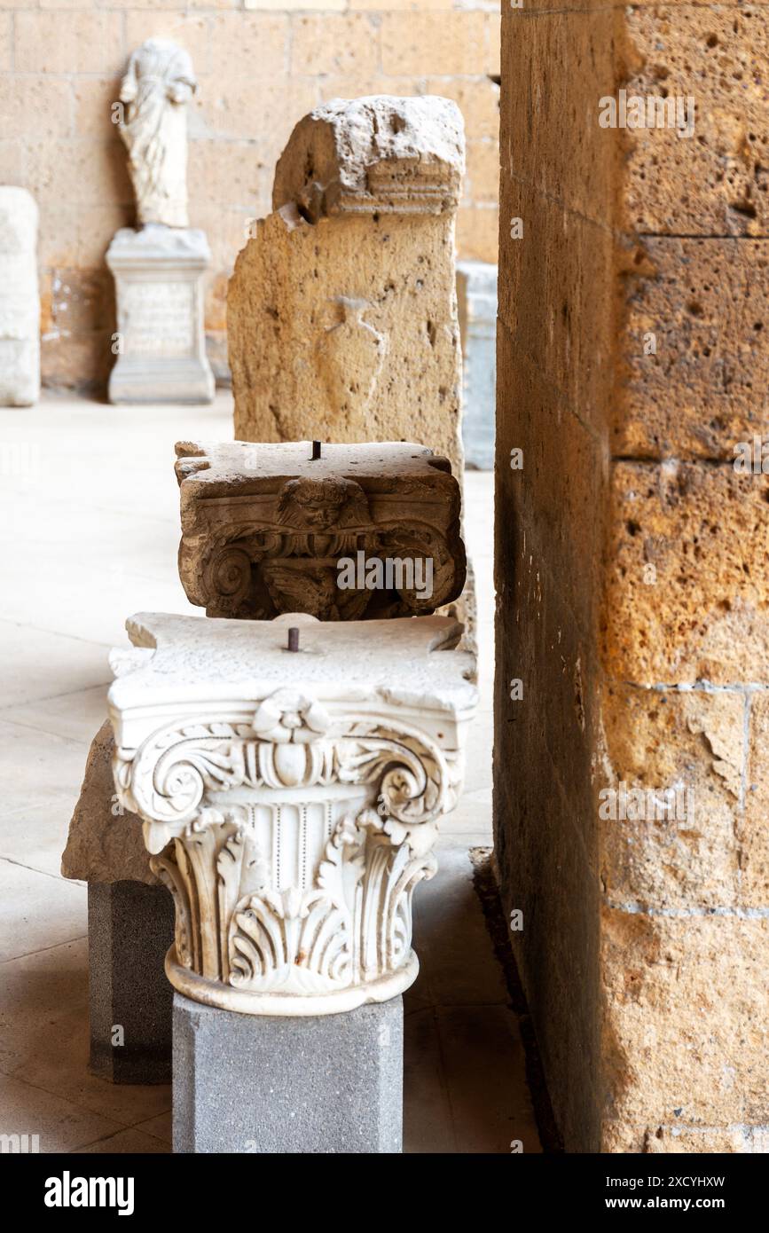 Archaelogical collection hi-res stock photography and images - Alamy