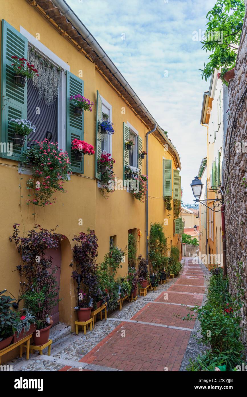 Pretty flowers and shuttered windows hi-res stock photography and ...