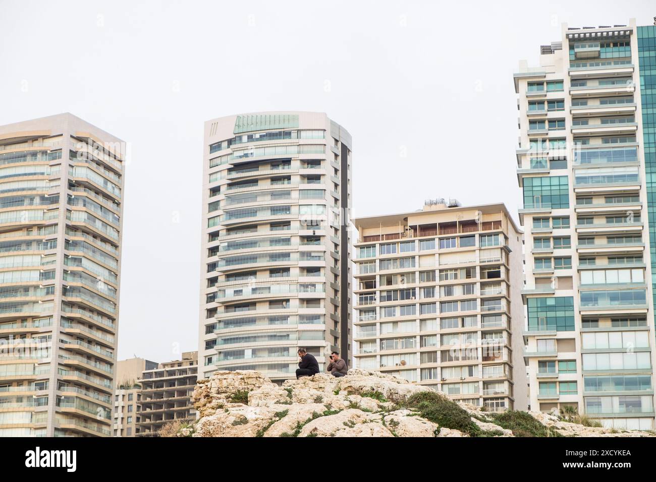 Asia lebanon beirut pigeon hi-res stock photography and images - Alamy