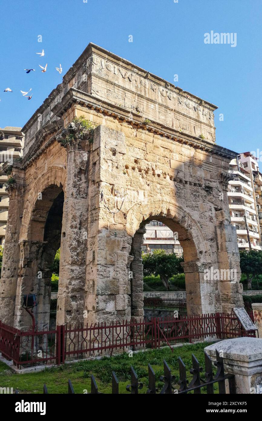 Latakia hi-res stock photography and images - Alamy