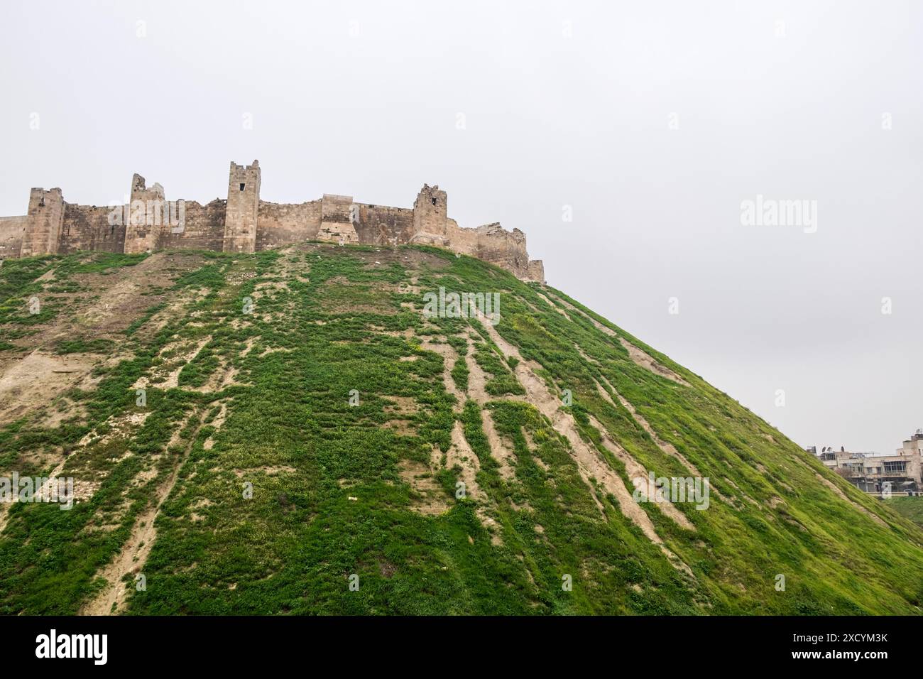 Syria, Aleppo, The Citadel of Aleppo large medieval fortified palace ...
