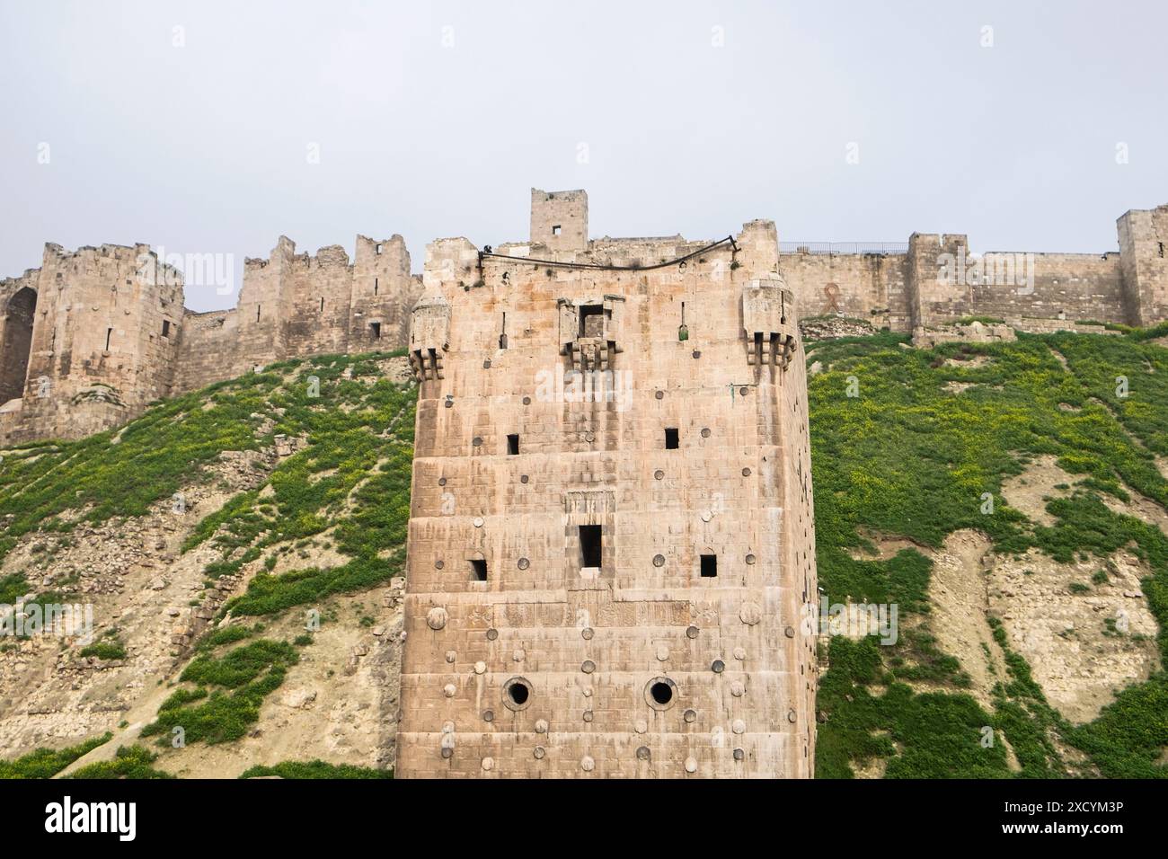 Syria, Aleppo, The Citadel of Aleppo large medieval fortified palace ...