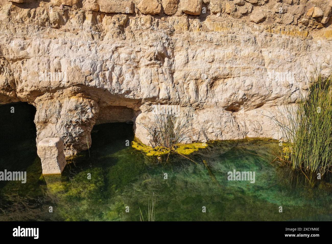 Syria, , Palmyra, archaeological site Stock Photo - Alamy