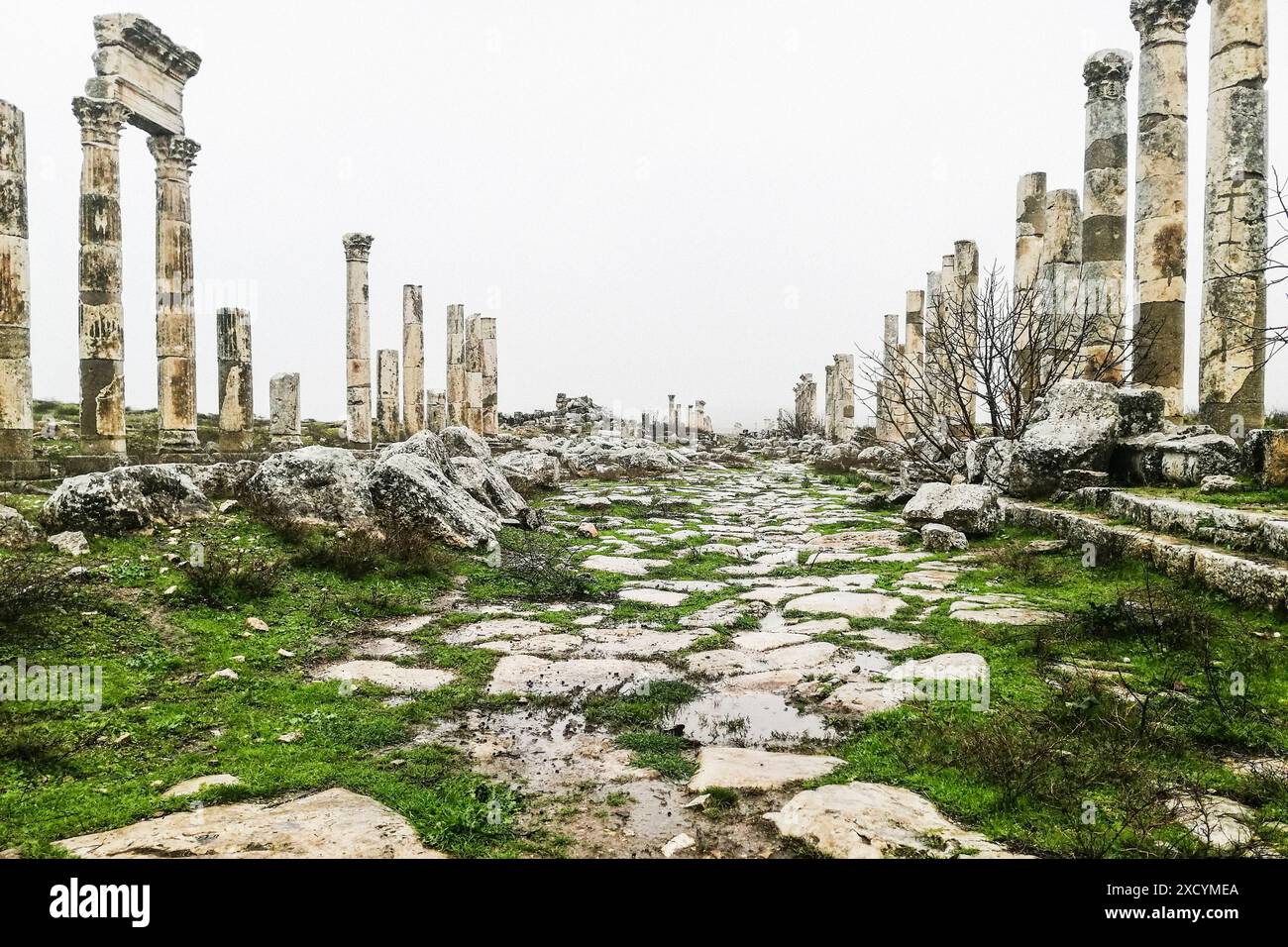 Syria, Apamea, Honourific Column and Colonnade at the Roman Ruins of ...
