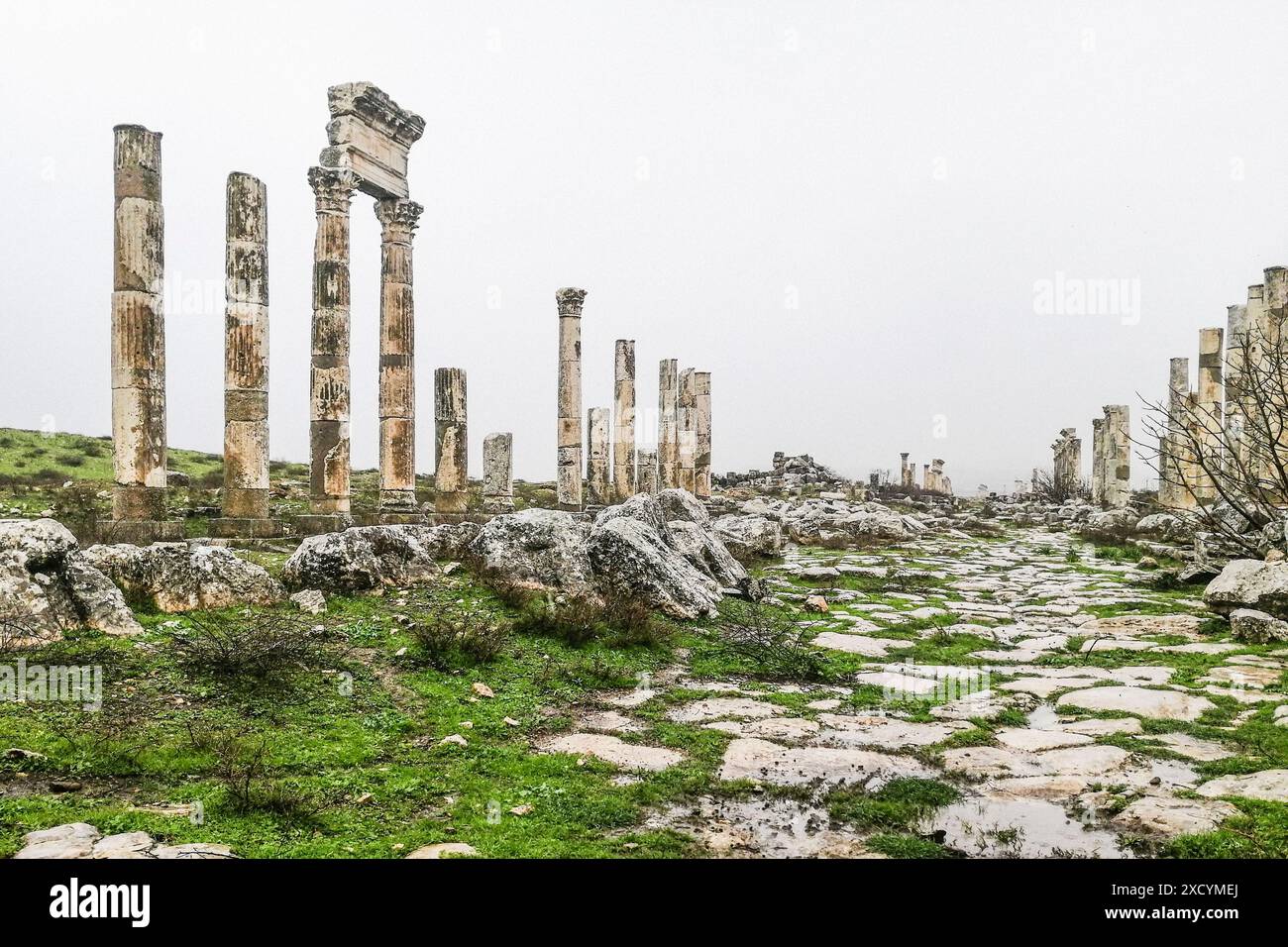Roman ruins of apamea hi-res stock photography and images - Alamy