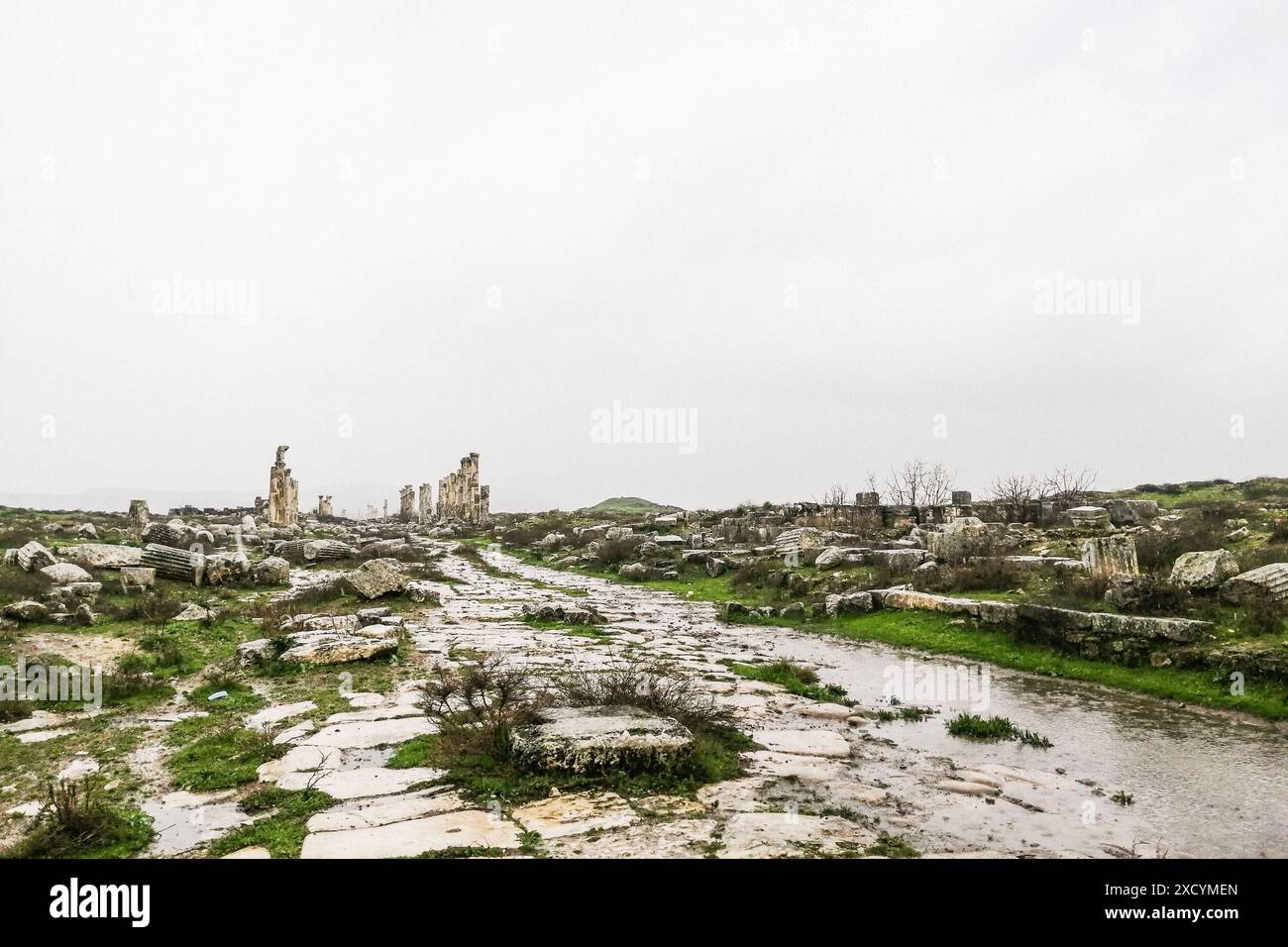 Roman ruins of apamea hi-res stock photography and images - Alamy