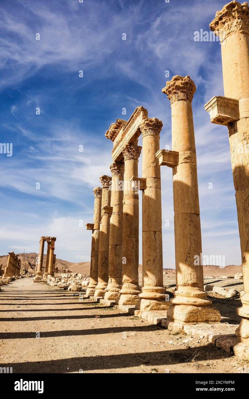 Syria, , Palmyra, archaeological site Stock Photo - Alamy