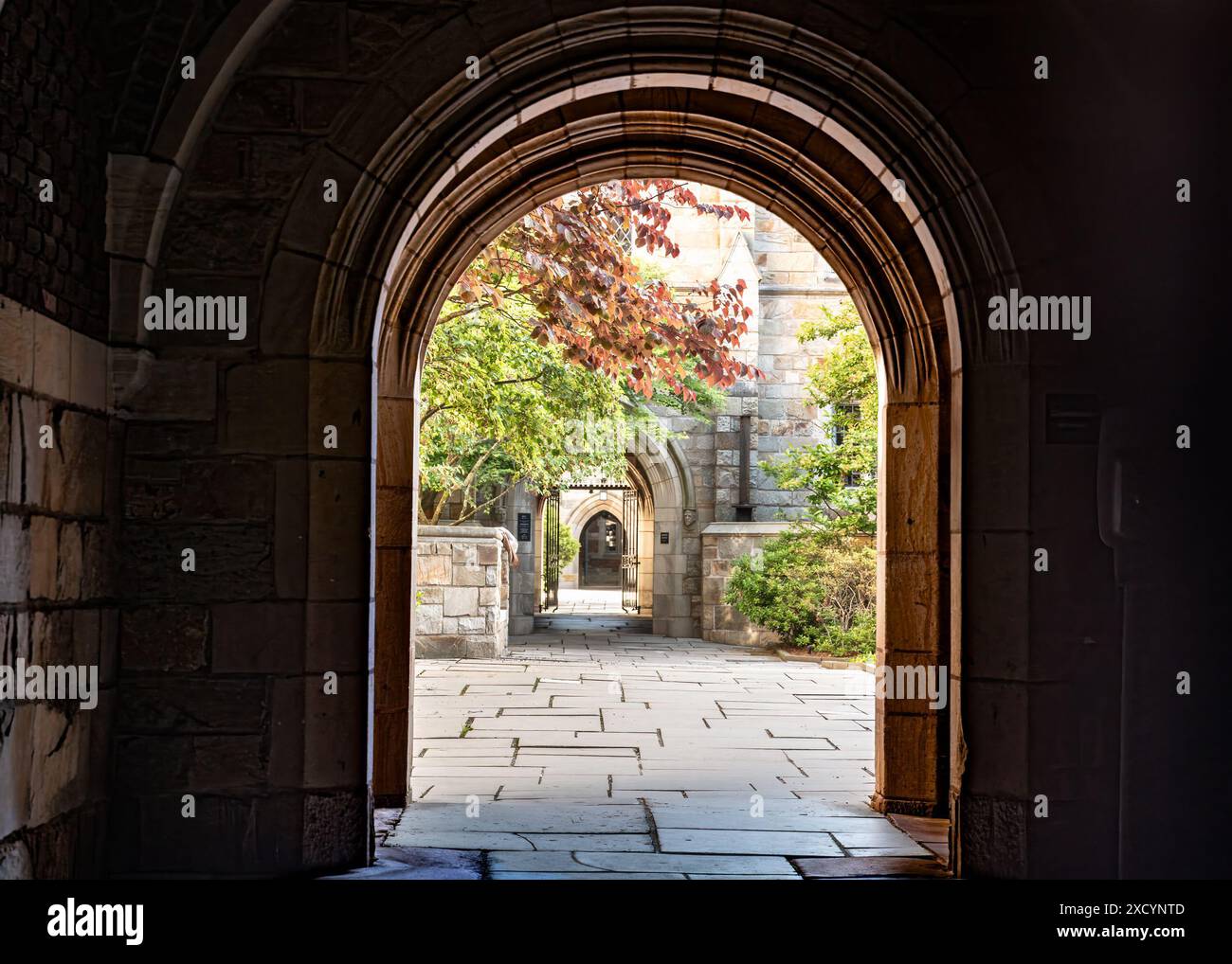 New Haven, Connecticut - June 8,2024: View of Ivy League Yale ...