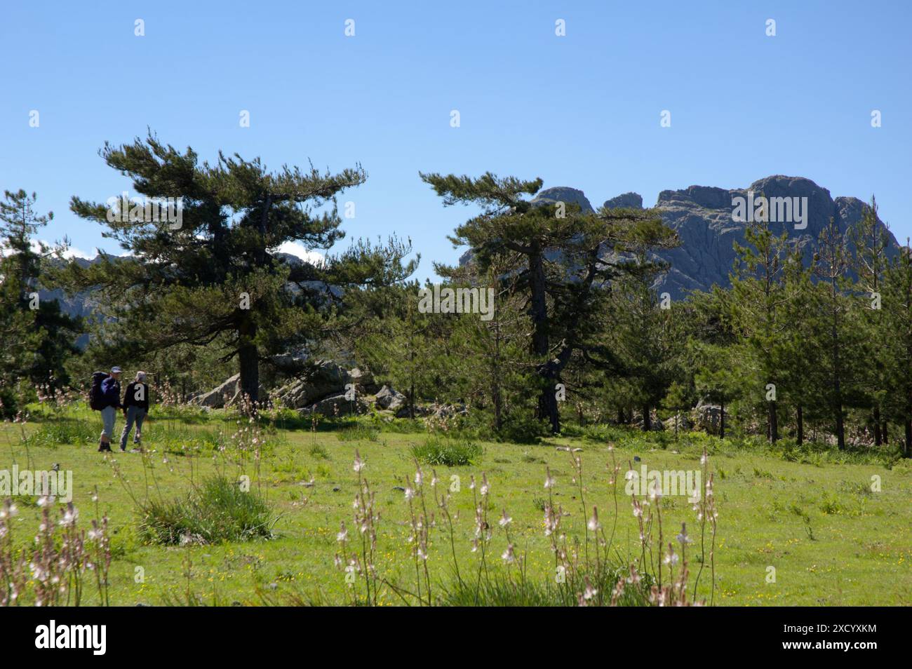 Pass bavella hi-res stock photography and images - Alamy