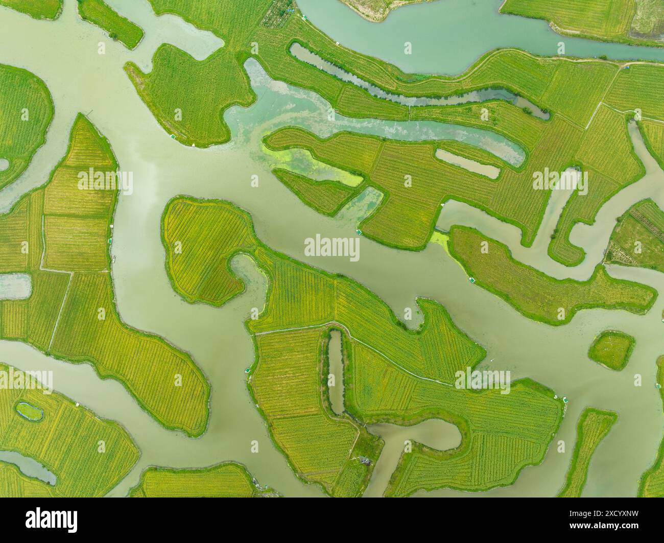 TAIZHOU, CHINA - MAY 3, 2024 - The Taojiang River divides the fields ...