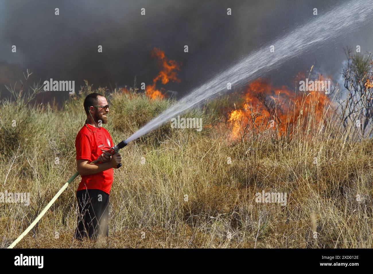 Bodrum,Turkey. August 01, 2020: Red raging flame of fire burn in grass ...