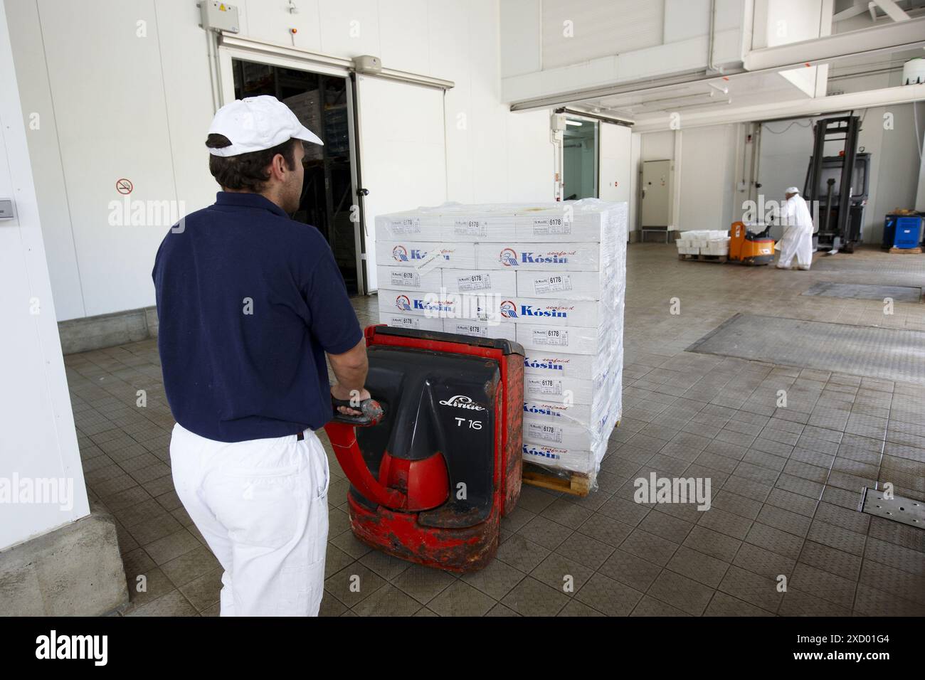 Cold-storage room, refrigerated and frozen salt cod distribution Stock ...