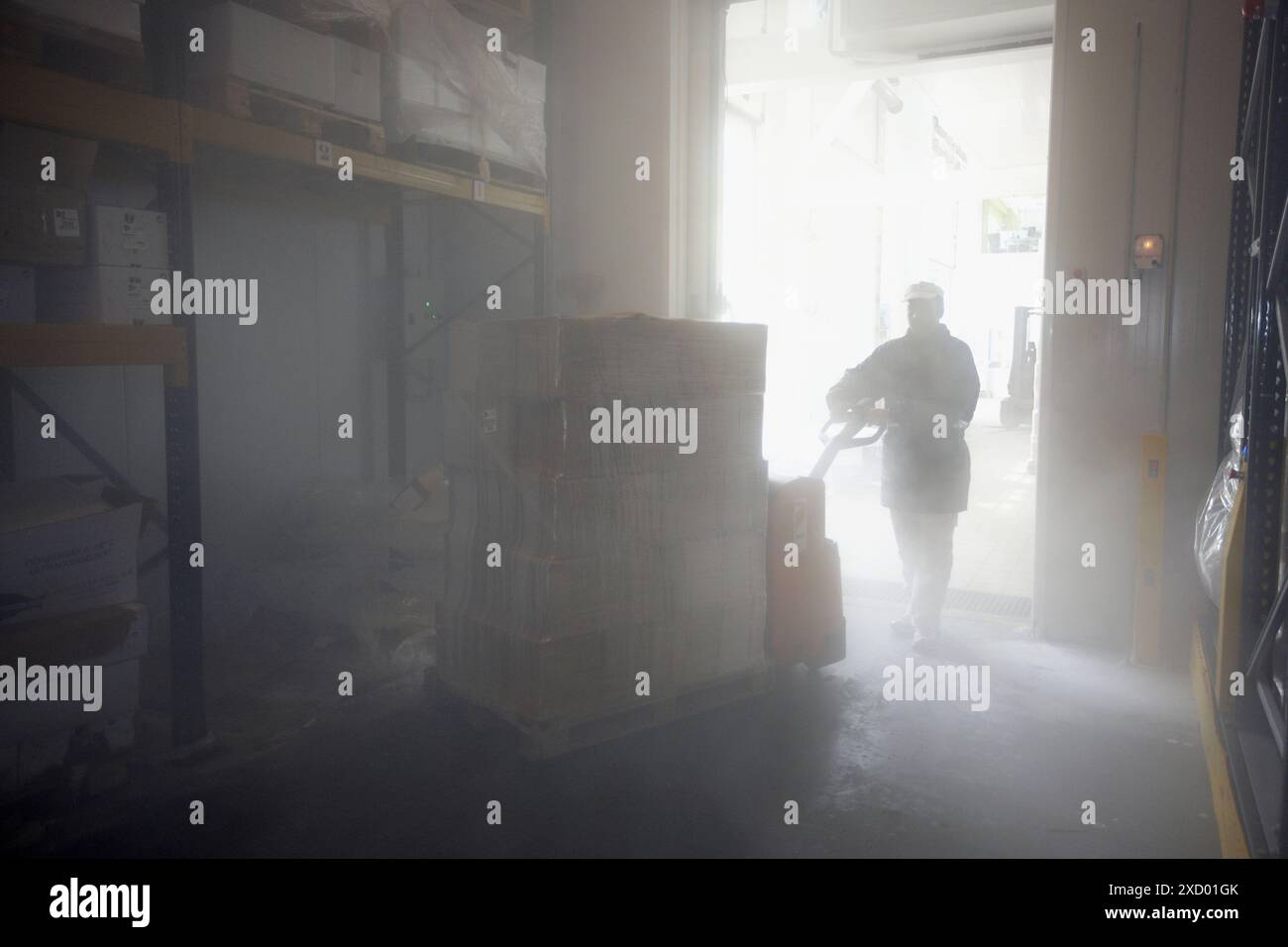 Cold-storage room, refrigerated and frozen salt cod distribution Stock ...
