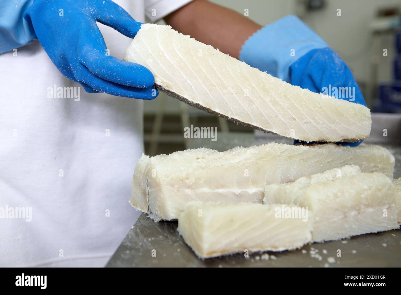 Salt cod loins, refrigerated and frozen salt cod distribution Stock ...