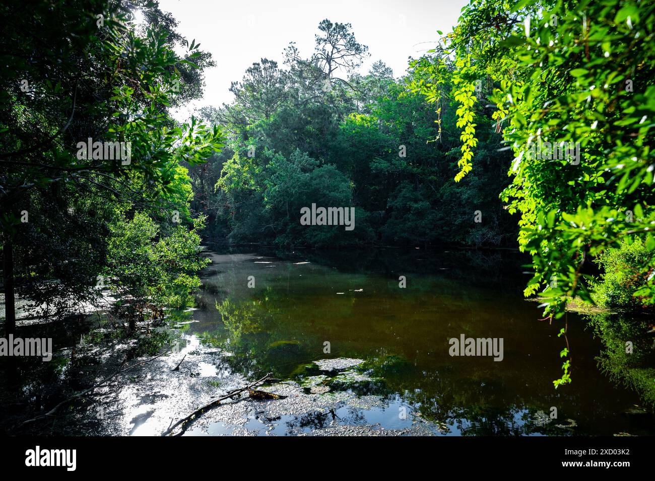 Little pond trail hi-res stock photography and images - Alamy
